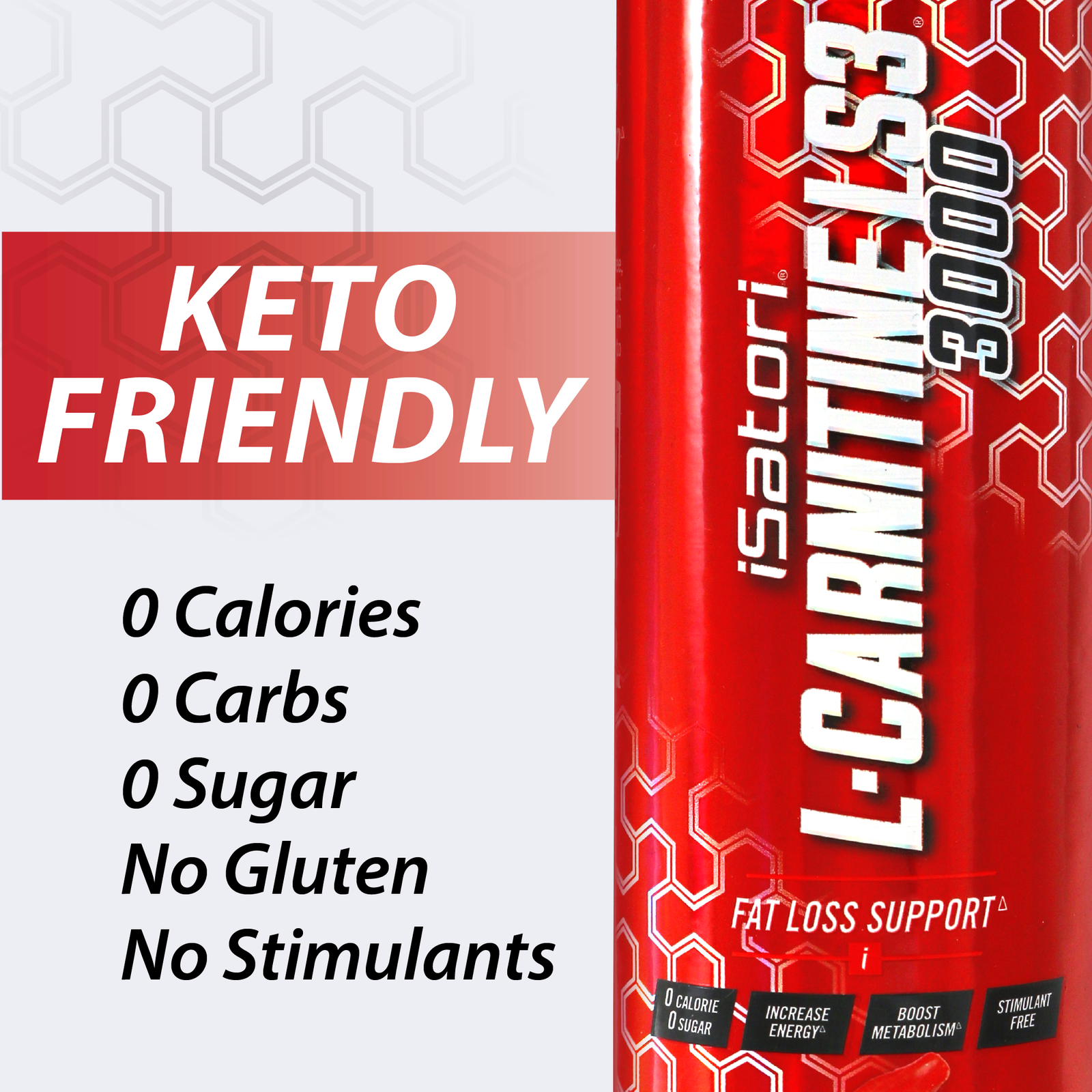 iSatori Liquid L-Carnitine LS3® 3000